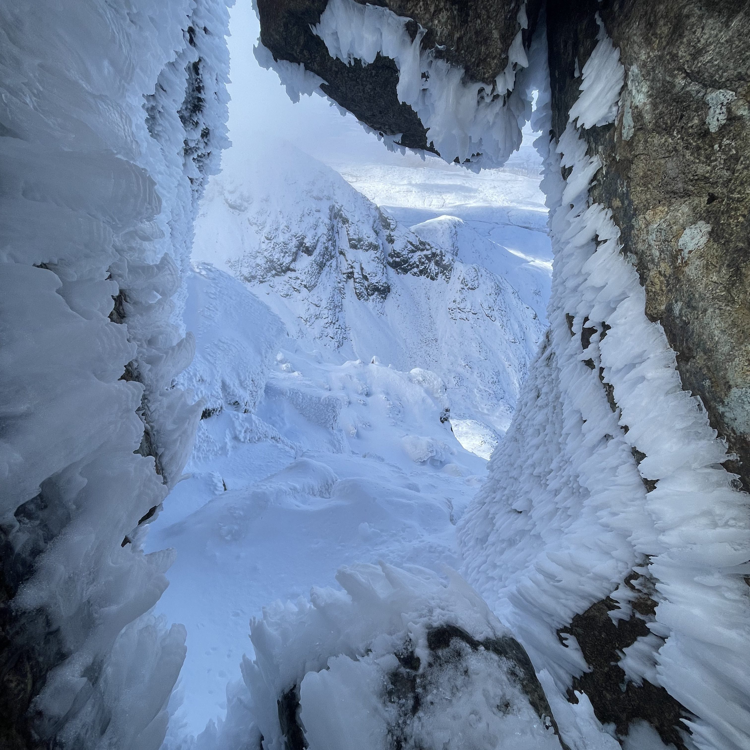 Winter Knowledge Winterskills Scot